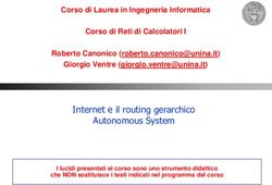 Internet e il routing gerarchico Autonomous System