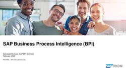 SAP Business Process Intelligence (BPI) - Salvatore De Caro, SAP BPI ...